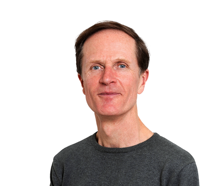 Winter migration of monarch butterflies to Mexico drops after one-year ...